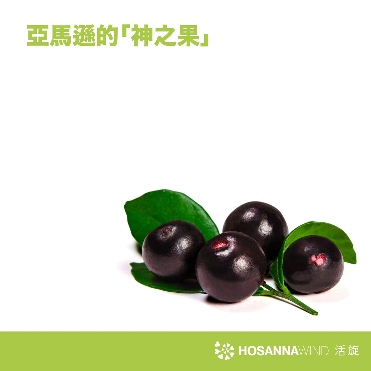 God's fruit from Amazon - Acai Berry – HosannaWind 活旋
